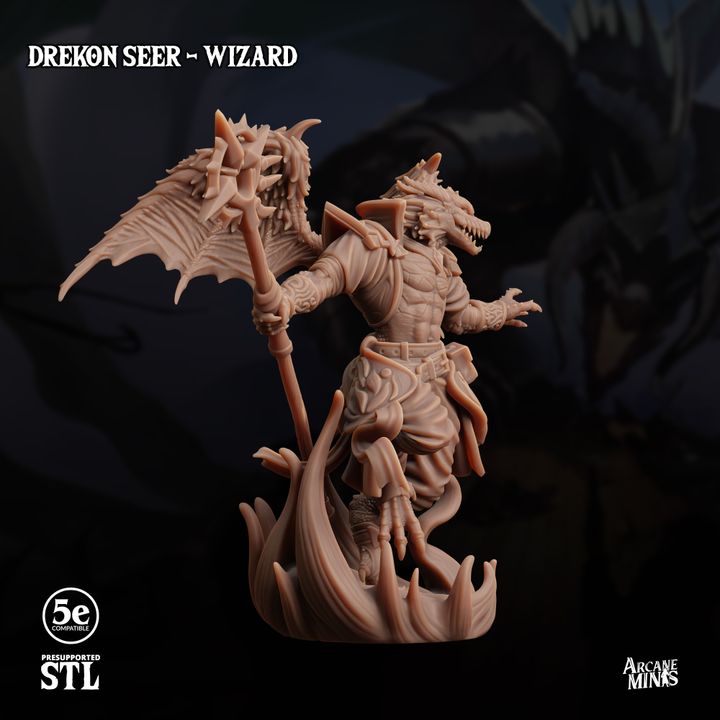 3D Printable Drekon Seer - Wizard by Sordane Publishing