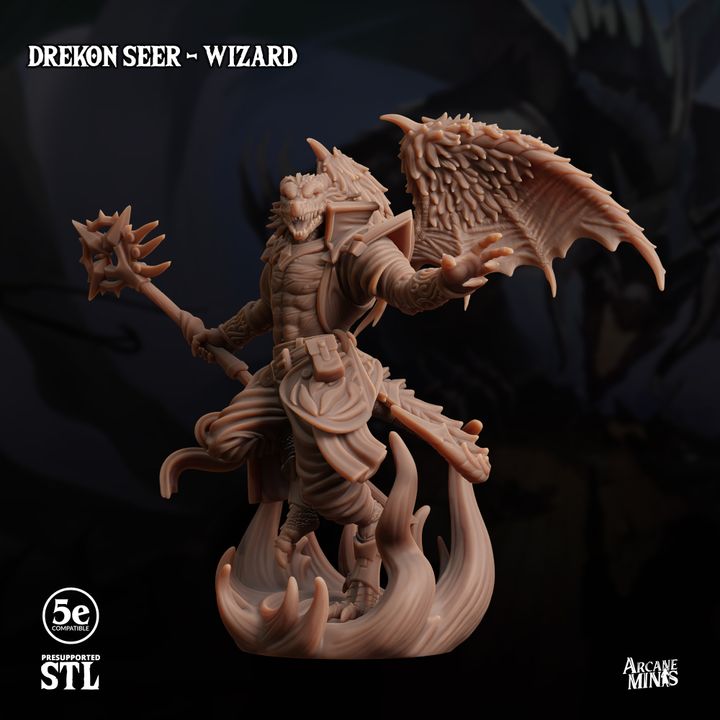 3D Printable Drekon Seer - Wizard by Sordane Publishing