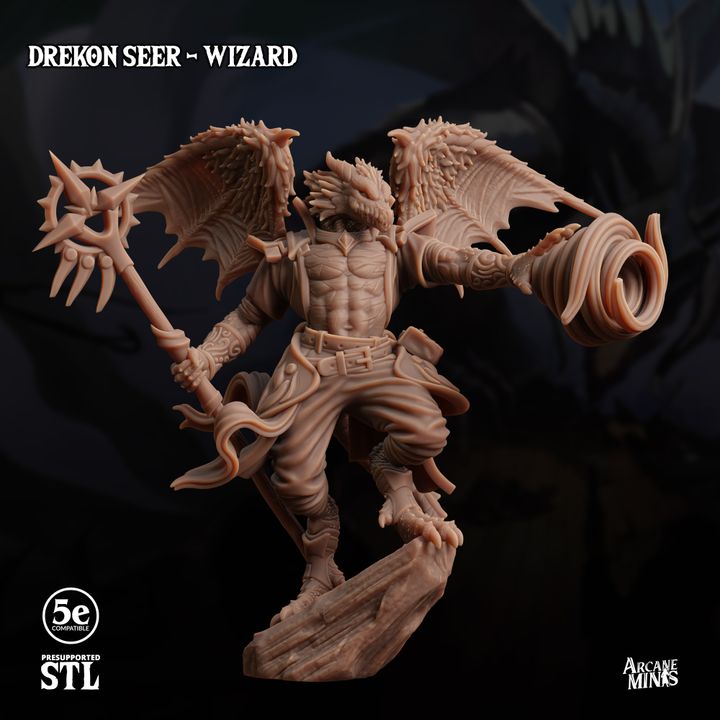 3D Printable Drekon Seer - Wizard by Sordane Publishing
