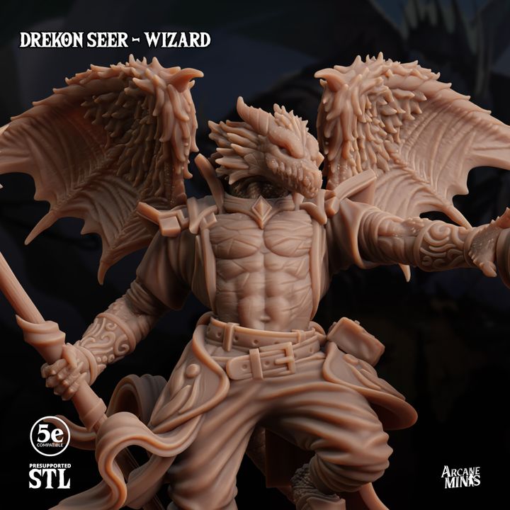 3D Printable Drekon Seer - Wizard by Sordane Publishing