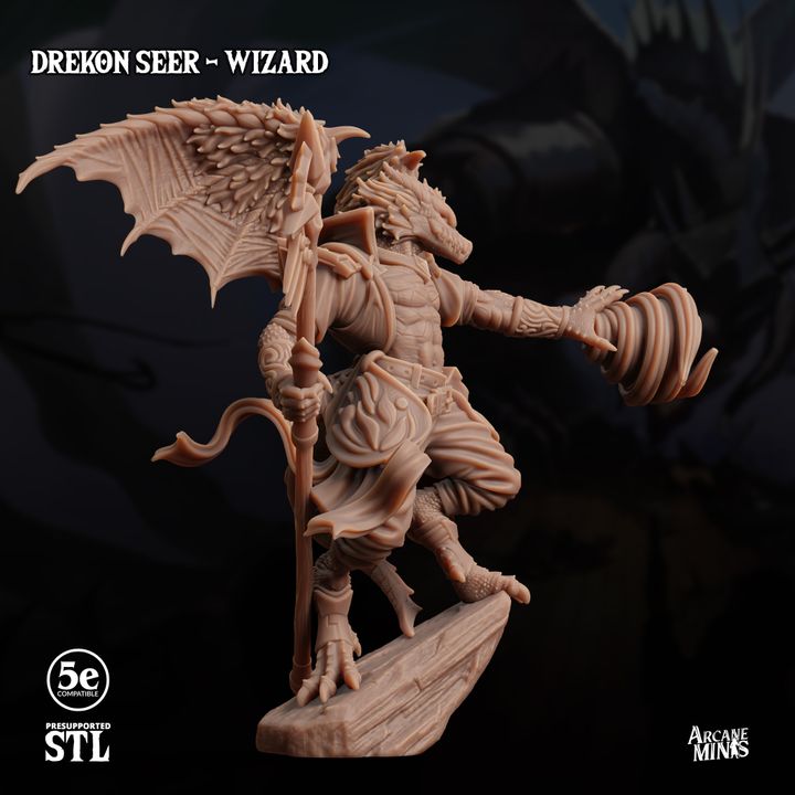 3D Printable Drekon Seer - Wizard by Sordane Publishing