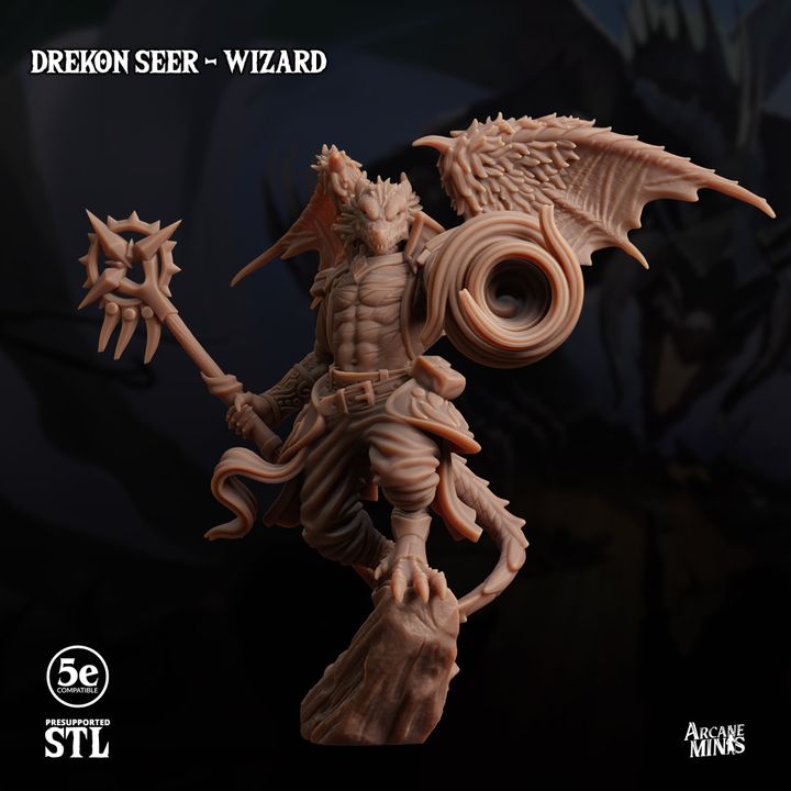 3D Printable Drekon Seer - Wizard by Sordane Publishing