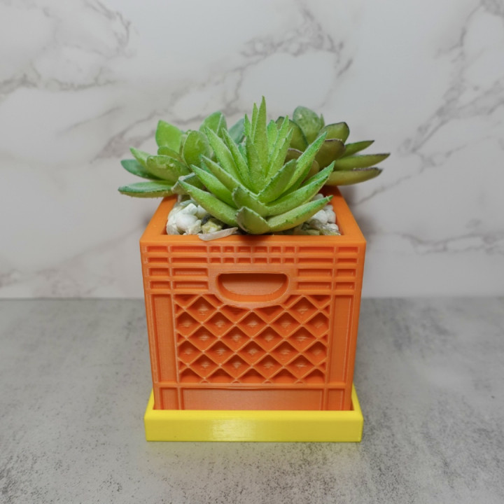 3D Printable Mini Crate Planter Pot by MysticMesh3D