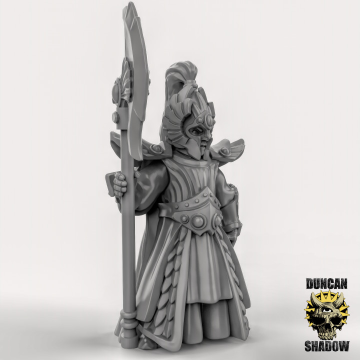 3D Printable High Elf Elite Guard (pre supported) by Duncan Shadow