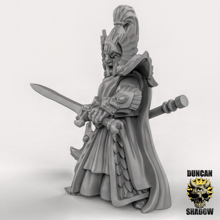 3D Printable High Elf Elite Guard (pre supported) by Duncan Shadow