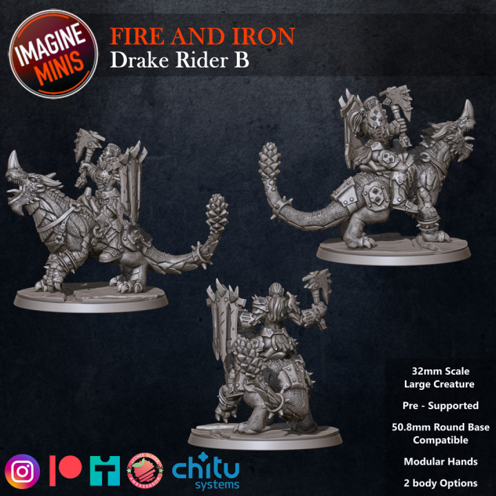3D Printable Fire and Iron - Drake Rider B by Imagine Minis