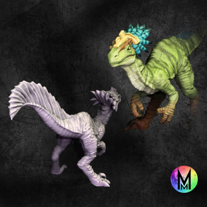 3D Printable Ultimate Female Character Pack #1 by Moonlight Minis ...
