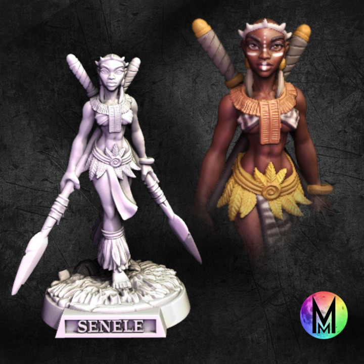 3D Printable Ultimate Female Character Pack #1 by Moonlight Minis ...