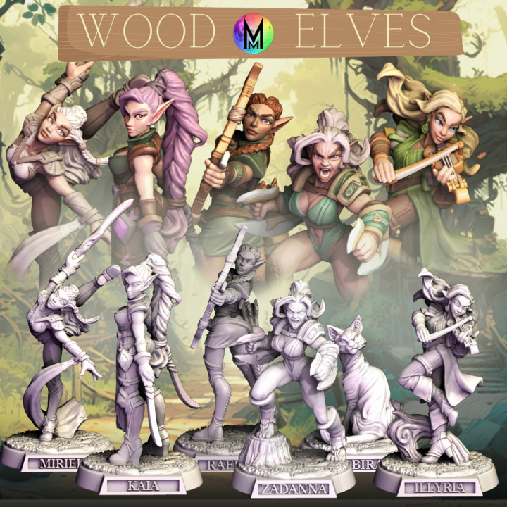 3D Printable Ultimate Female Character Pack #1 by Moonlight Minis ...