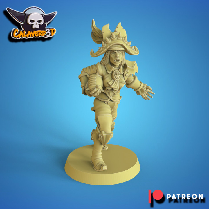 3D Printable Stp Nº27 - Captain Nov 2023 by Calaverd3D