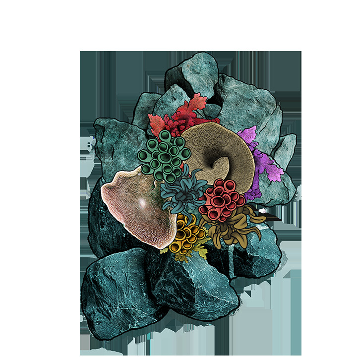 3D Printable Lakes, Oceans, And Underwater Tokens - Digital Terrain Map ...