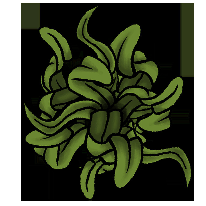 3D Printable Lakes, Oceans, And Underwater Tokens - Digital Terrain Map ...