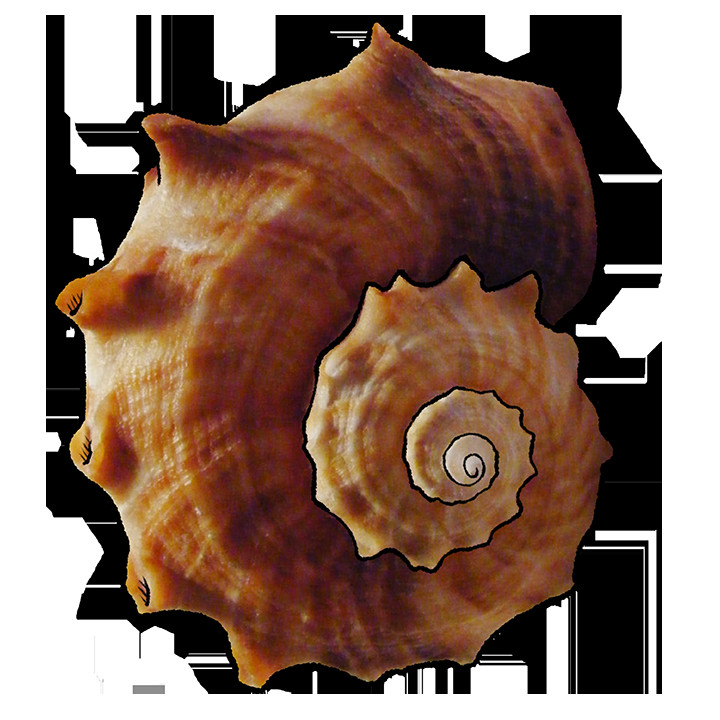 3D Printable Lakes, Oceans, And Underwater Tokens - Digital Terrain Map ...