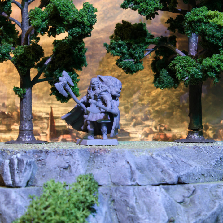 3D Print of Royal Guard Commander by Landor