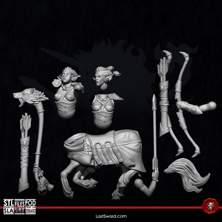 3D Printable Wild Riders by LastSword Miniatures