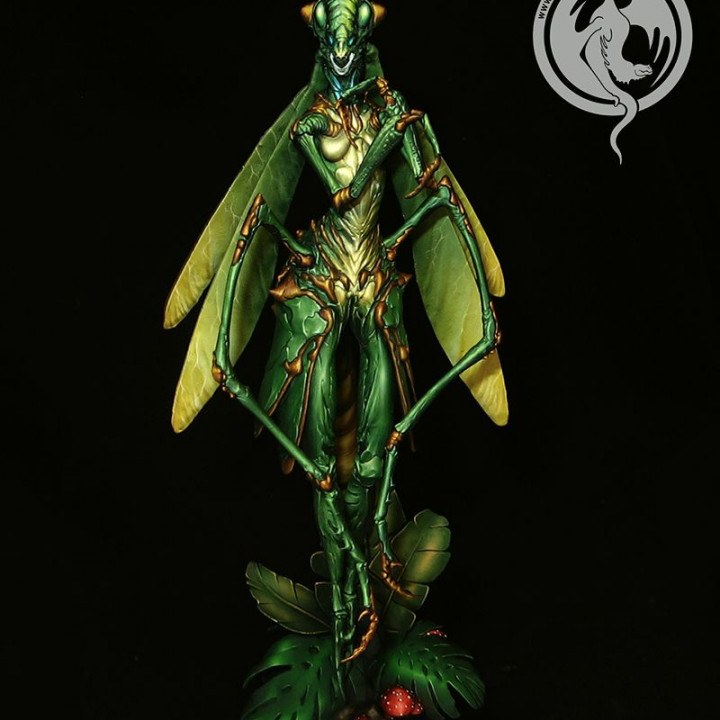 3D Printable Airrisa- Mantis Queen by Karol