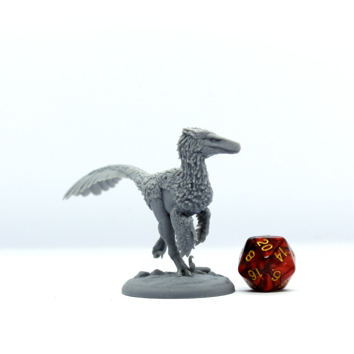 3D Printable Utahraptor 3 by clynche art