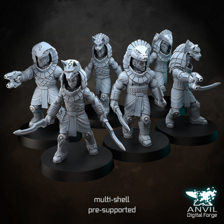 3D Printable Astral Kingdom Warriors - Anvil Digital Forge November ...