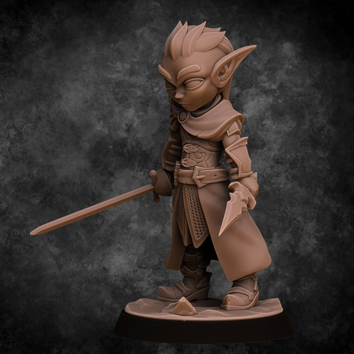 3D Printable Drow hero pack 1 by Deathpunk Studio