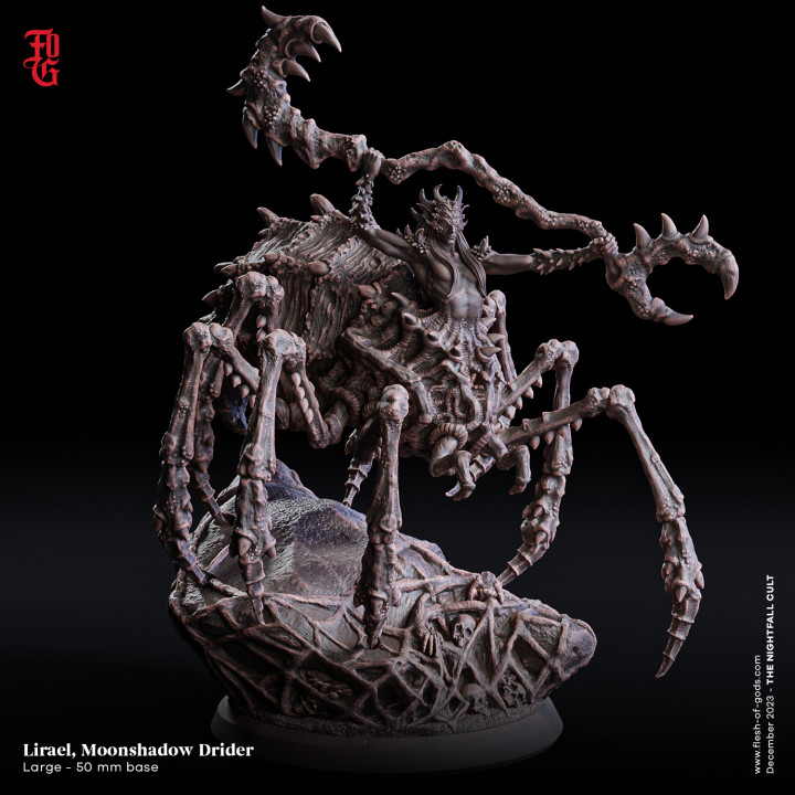3D Printable Lirael, Moonshadow Drider by Flesh of Gods