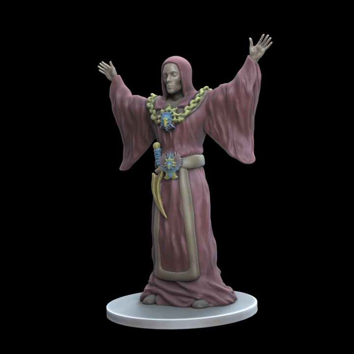 3D Printable Grand Priest by MiniaturesCraze