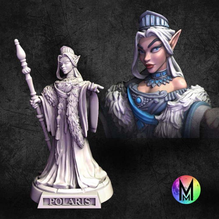 3D Printable Female Frost Elves of Wintervale (High elf set themed as ...