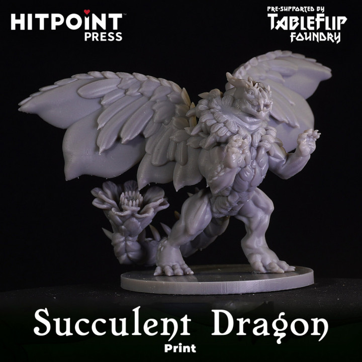 3D Printable PDF + STL BUNDLE - THE FIELD GUIDE TO FLORAL DRAGONS: BOOK ...
