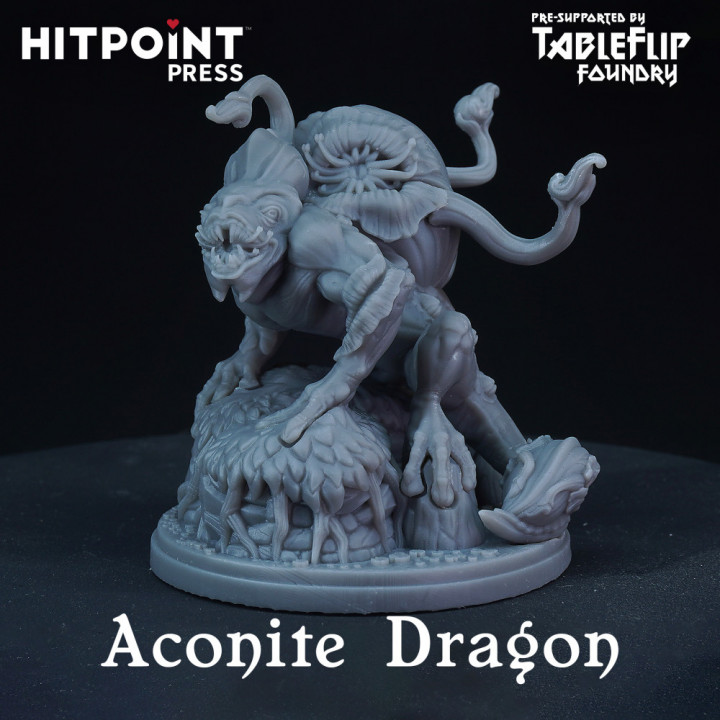 3D Printable PDF + STL BUNDLE - THE FIELD GUIDE TO FLORAL DRAGONS: BOOK ...