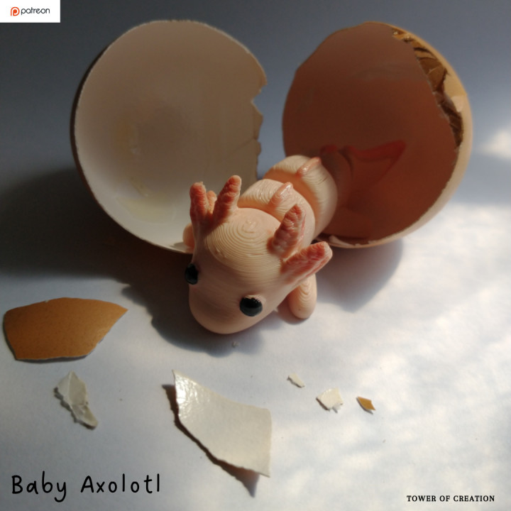 3D Printable Baby Axolotl by ZOU3D