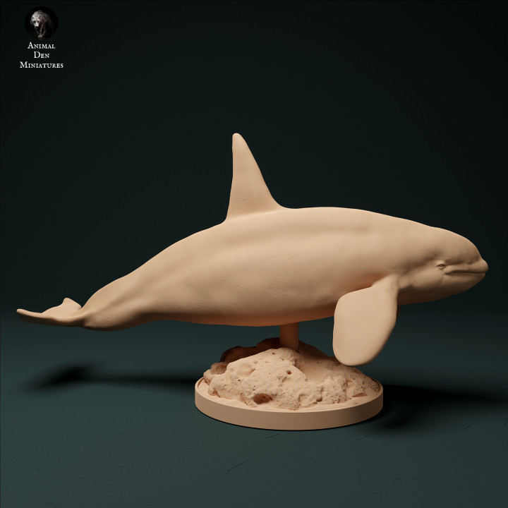 3D Printable North Atlantic Type 2 Killer Whale by Animal Den Miniatures