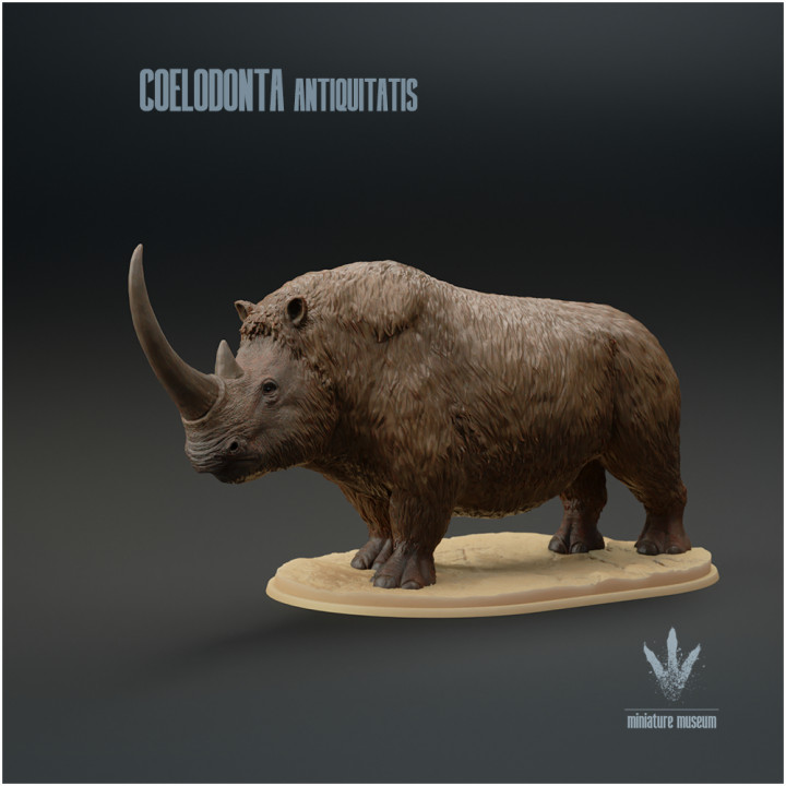 3D Printable Coelodonta antiquitatis : The Woolly Rhinoceros by Miniature Museum