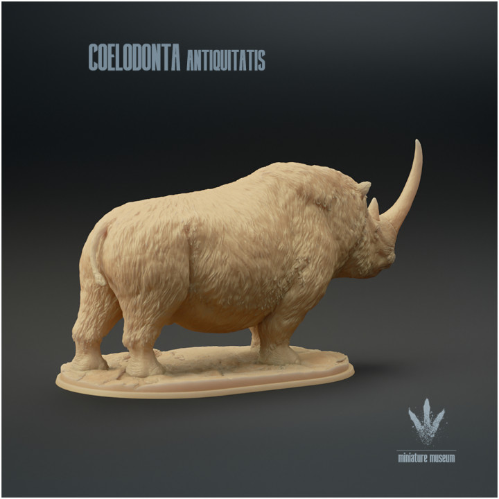 3D Printable Coelodonta antiquitatis : The Woolly Rhinoceros by ...