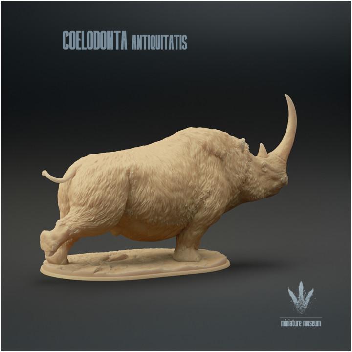 3D Printable Coelodonta antiquitatis : Running by Miniature Museum
