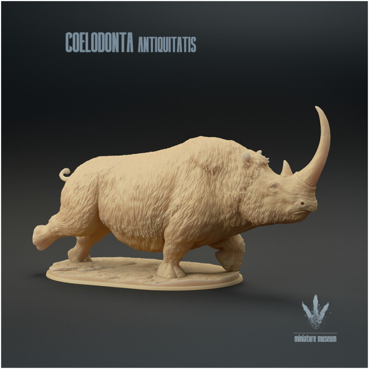 3D Printable Coelodonta antiquitatis : Running by Miniature Museum