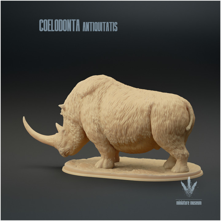 3D Printable Coelodonta antiquitatis : Display by Miniature Museum