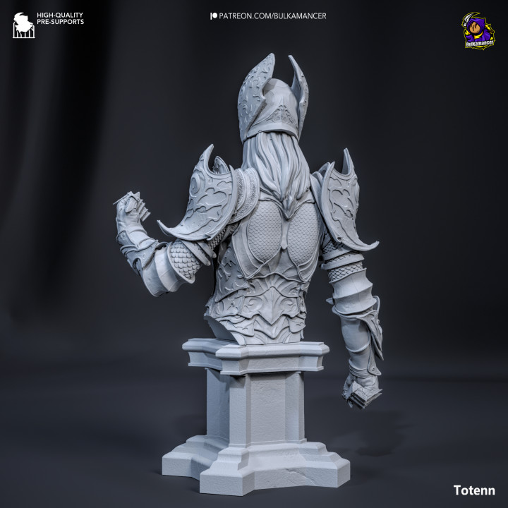 3D Printable Resplendent Paladin (298mm) + Bust (156mm) by Bulkamancer ...