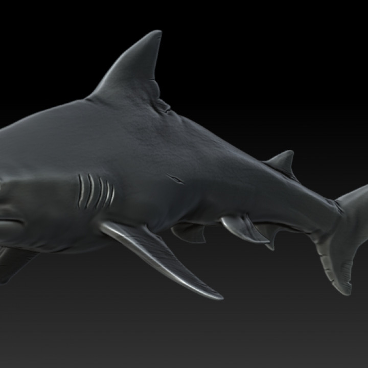 3D Printable Bull Sharks (4) by Wundervale Games