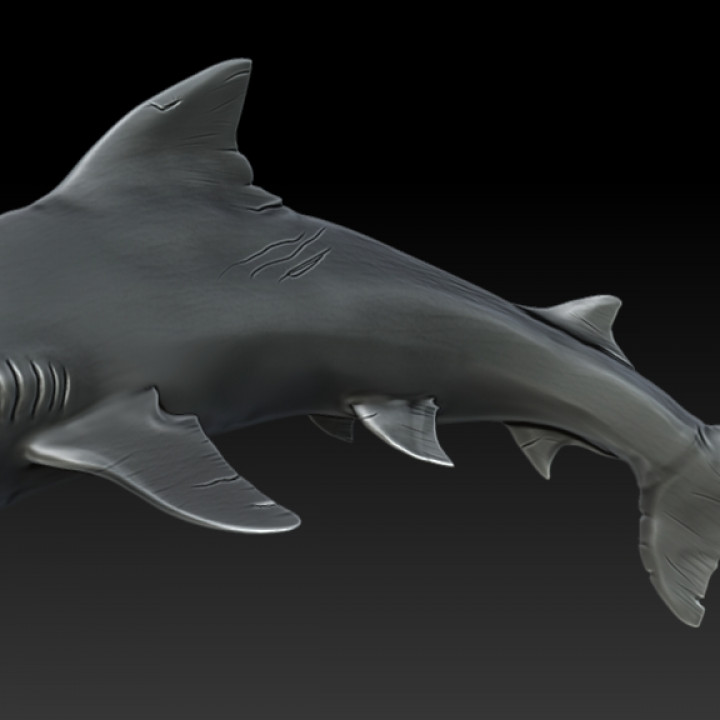 3D Printable Bull Sharks (4) by Wundervale Games