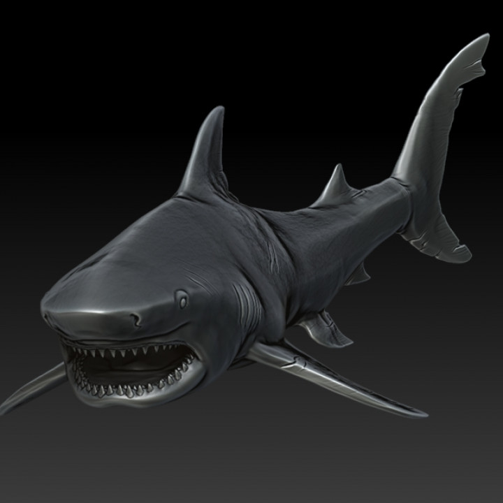 3D Printable Bull Sharks (4) by Wundervale Games