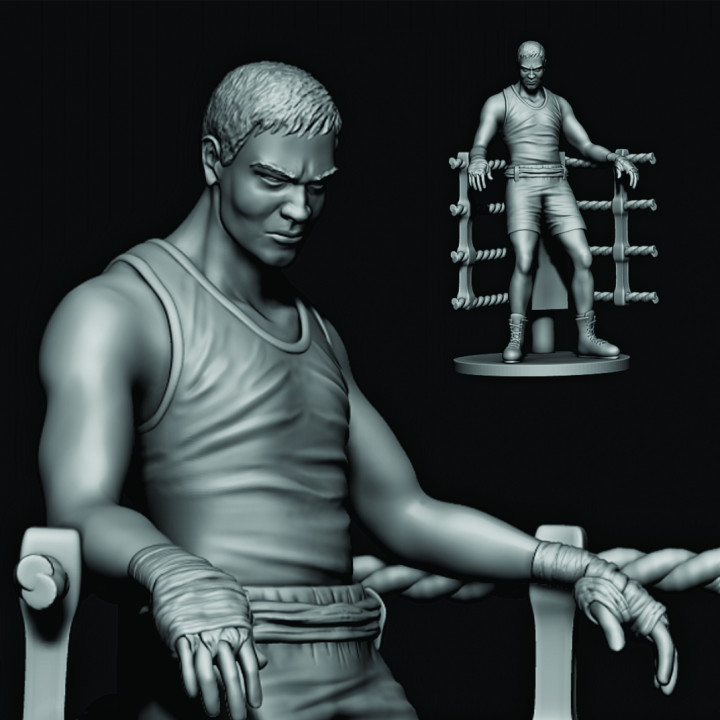 3D Printable Boxer by Vanquish the Darkness