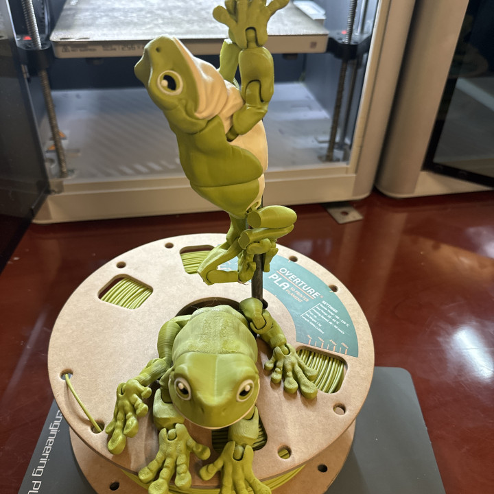3D Print of Whites Tree Frog - Subscriber Exclusive by davidwetherbee