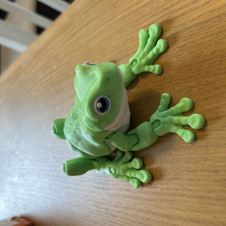 3D Print of Whites Tree Frog - Subscriber Exclusive by FatGirlMakes