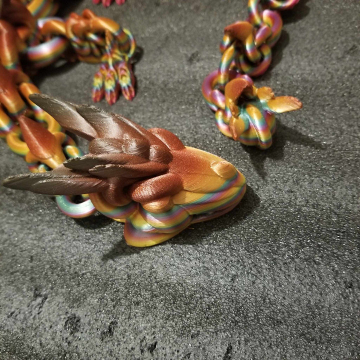 3D Printable Shakaworld3d Knotted Torus Dragon by Shakaworld3D