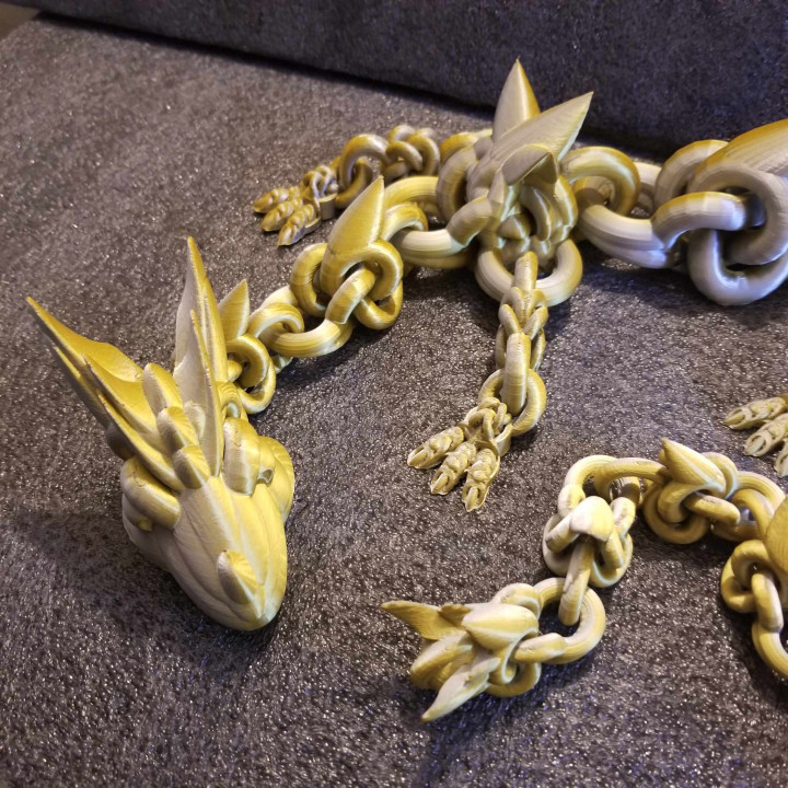 3D Printable Shakaworld3d Knotted Torus Dragon by Shakaworld3D