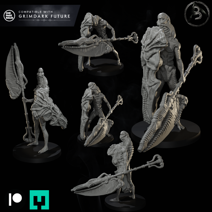 3D Printable ToA: Umbran Hunters (Shield) by bLUARt