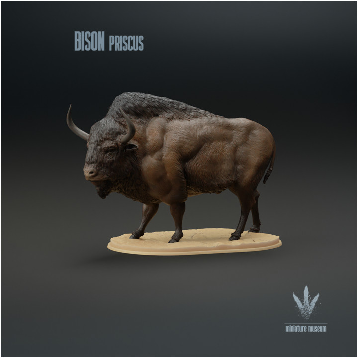 3D Printable Bison priscus : The Steppe Bison by Miniature Museum