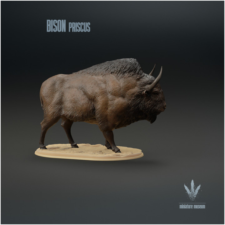 3D Printable Bison priscus : The Steppe Bison by Miniature Museum