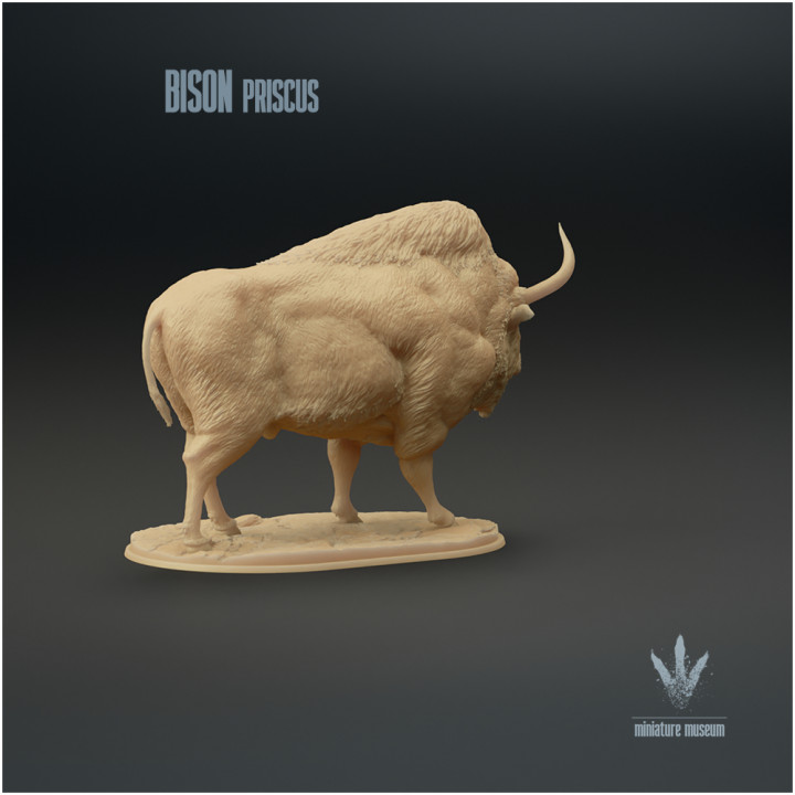 3D Printable Bison priscus : The Steppe Bison by Miniature Museum