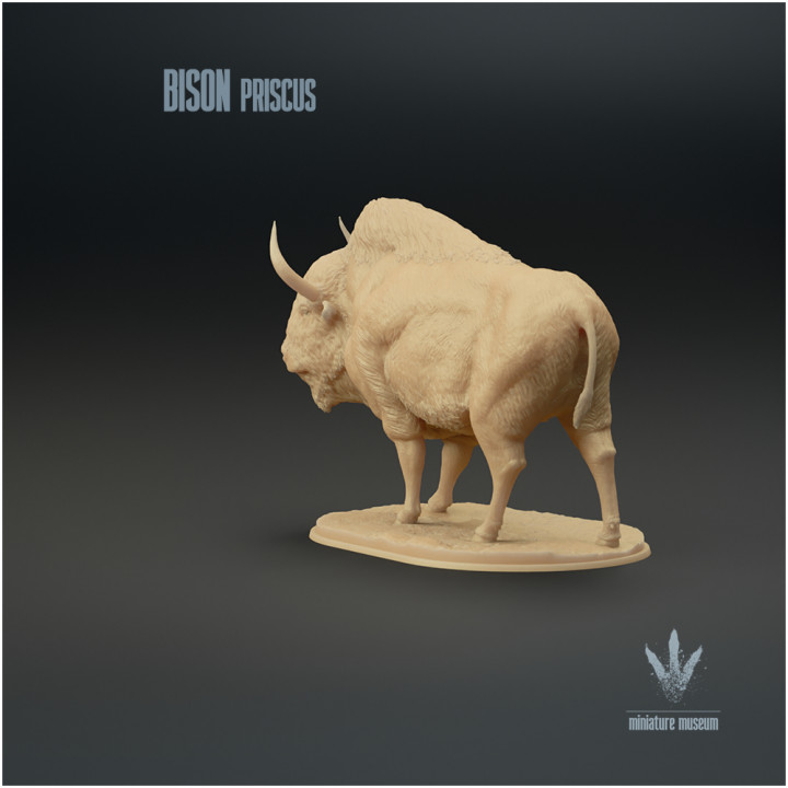 3D Printable Bison priscus : The Steppe Bison by Miniature Museum