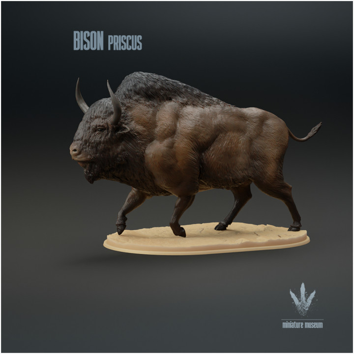 3D Printable Bison priscus : Running by Miniature Museum